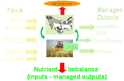 ANSC 324: Applied Animal Nutrition